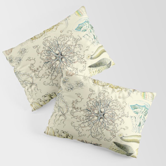 Seashell and Underwater Vintage Illustration Drawing by Adolphe Millot ...