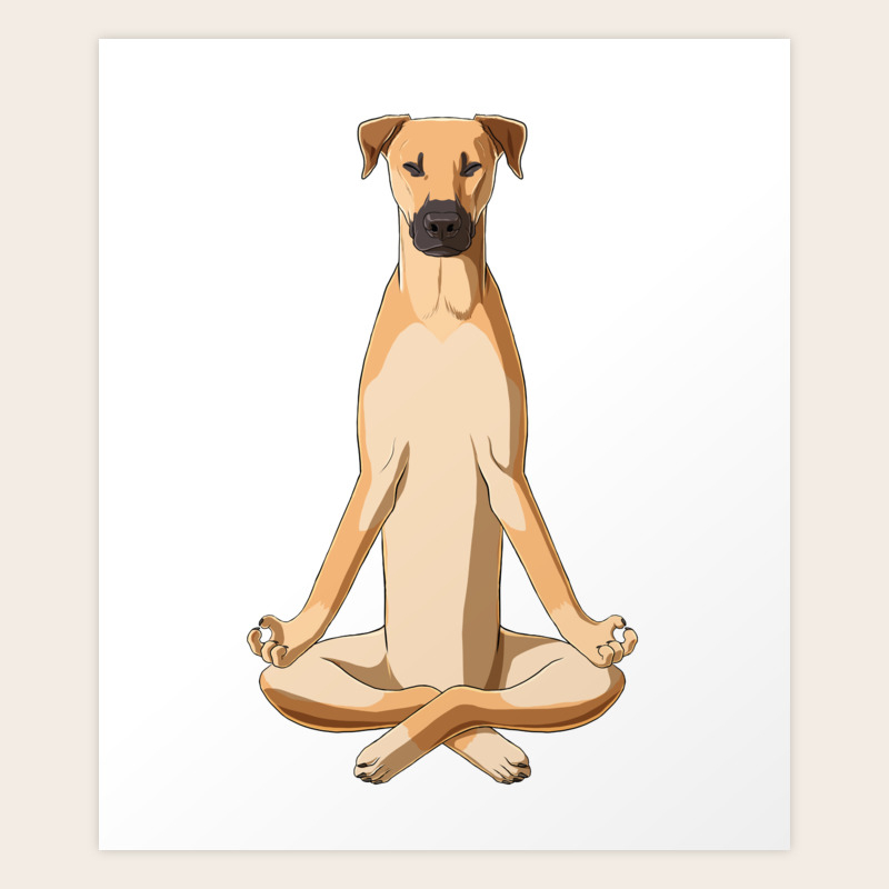 How Much Does A Black Mouth Cur Cost