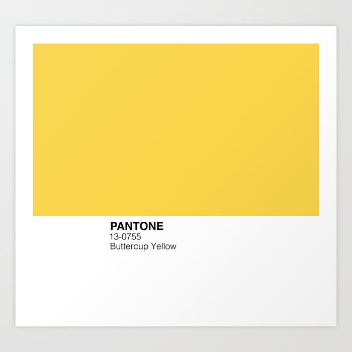 Pantone Mustard Color