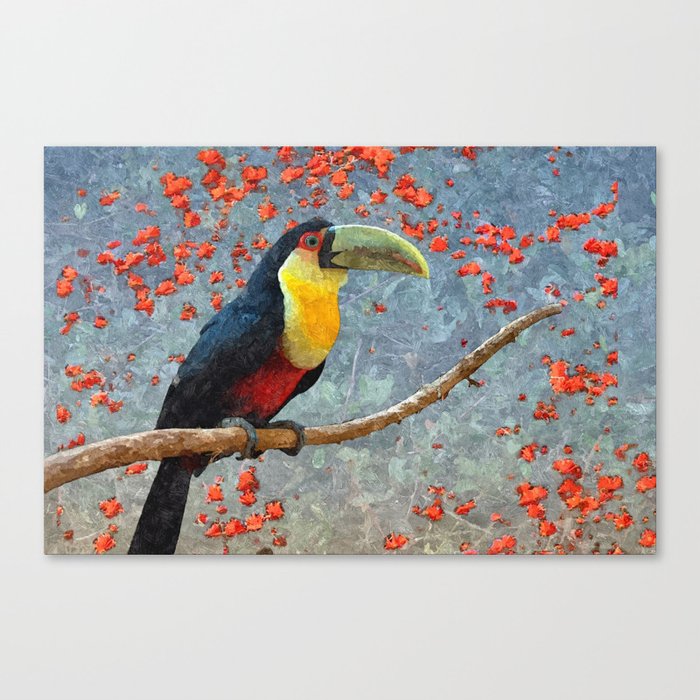 Tropical Rainforest Toucan