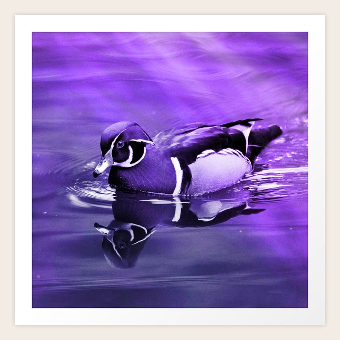 Abstract Wildlife Paintings