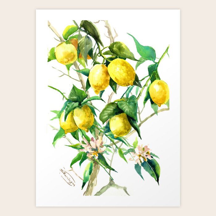 Lemon Tree Art Gallery