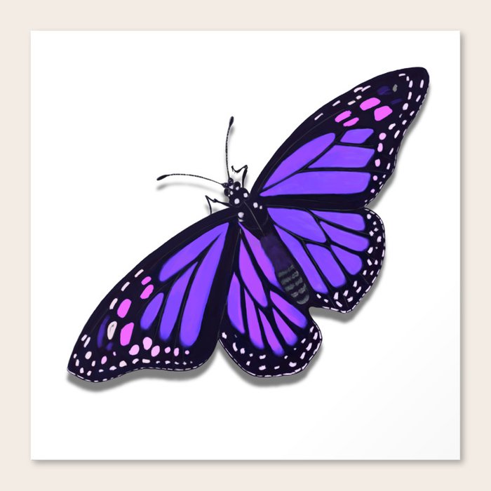 Purple Monarch Butterflies