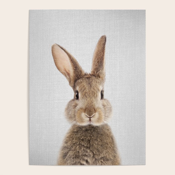 Rabbit - Colorful Poster by Gal Design | Society6