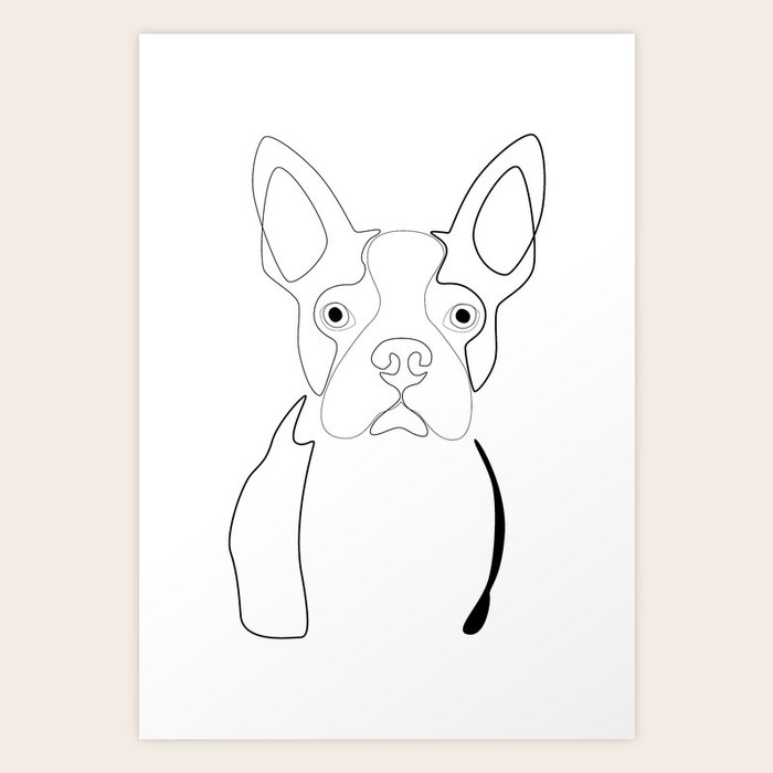 Boston Terrier Face Drawing