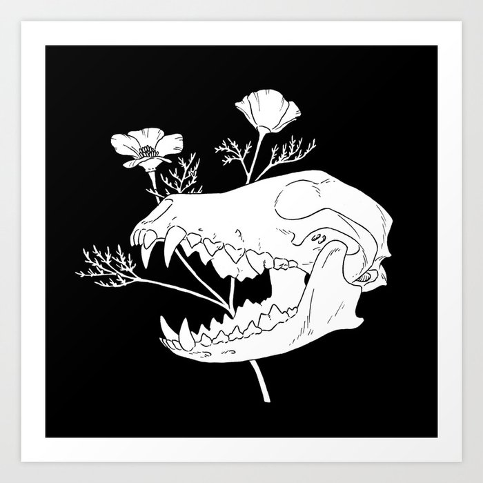 Coyote Skull Drawing