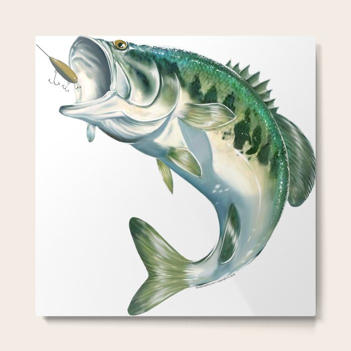 Largemouth Bass Art Prints