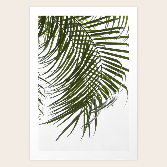 Palm Leaves IV Art Print by amini54 | Society6
