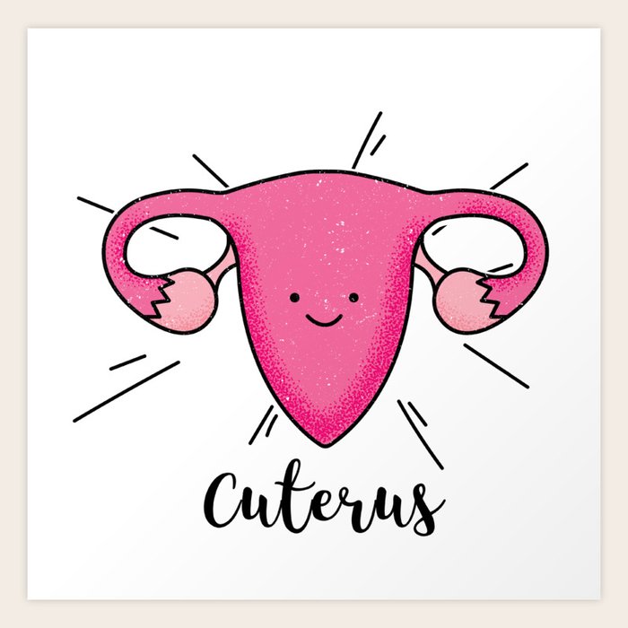 Cuterus