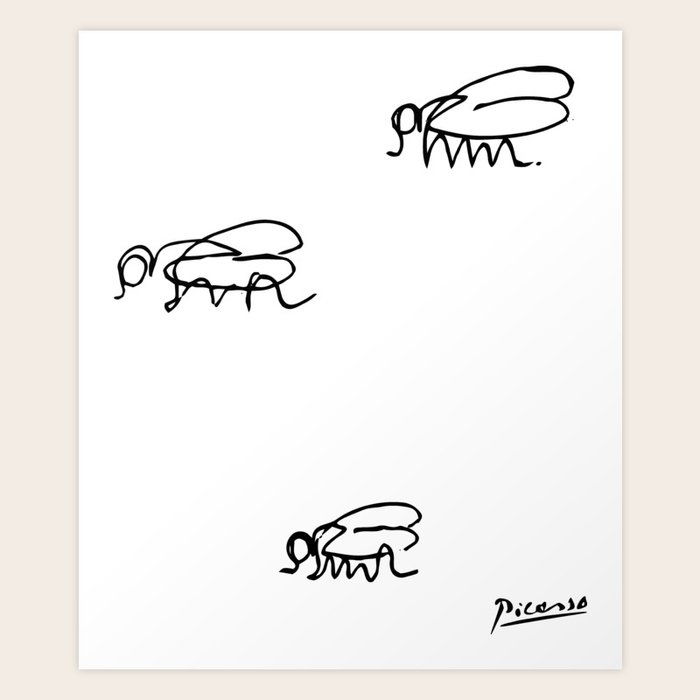 Picasso Animal Line Drawings
