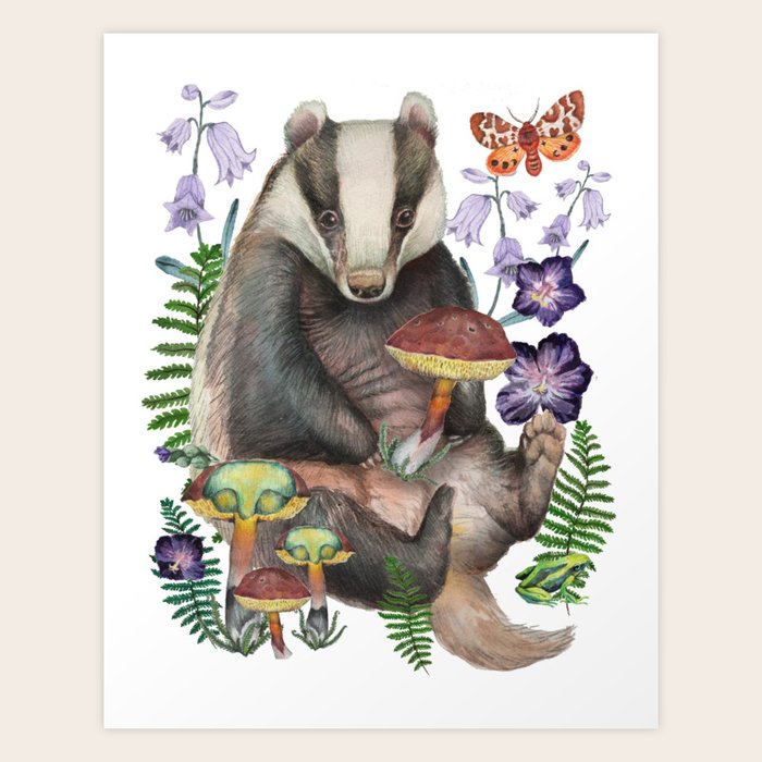 Cute Badger