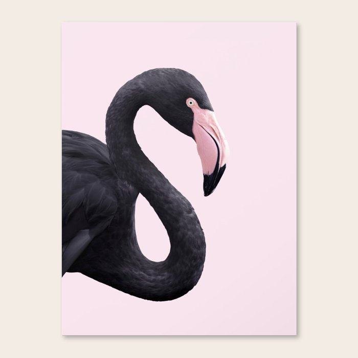 flamingo prints