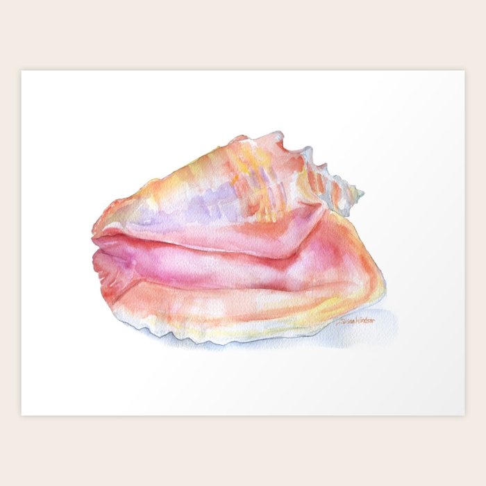 Conch Shell Paintings