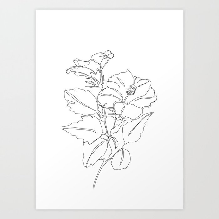 Hibiscus Line Drawing