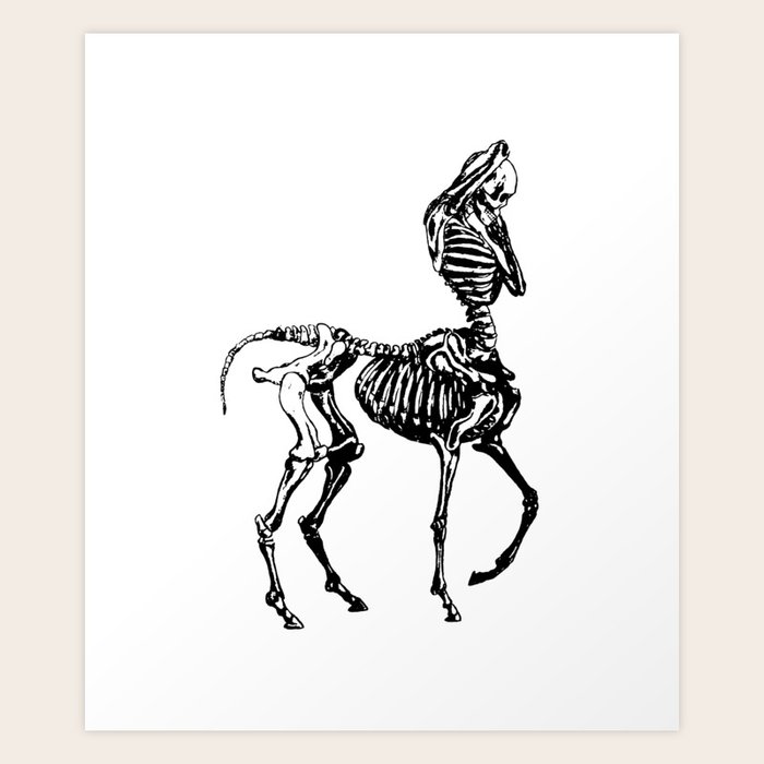 Centaur Skeleton