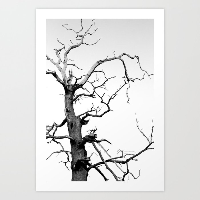 Gothic Tree Drawing