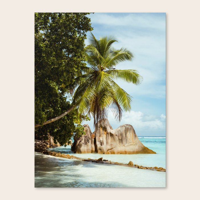 Palm tree bending over the sea Canvas Print by Leandro Pita | Society6