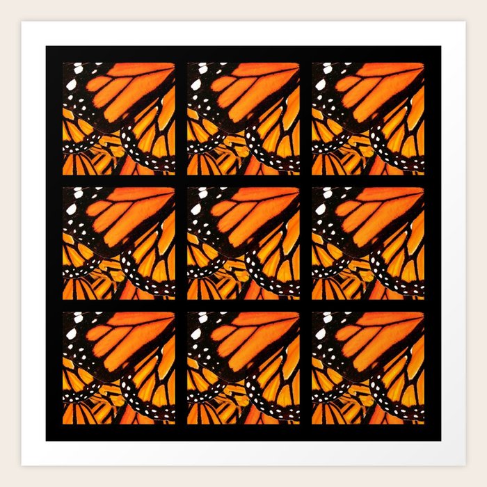 Monarch Butterfly Wing Pattern