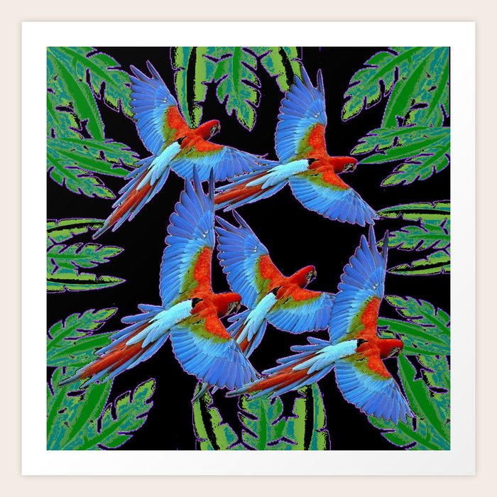 Rainforest Blue Macaw