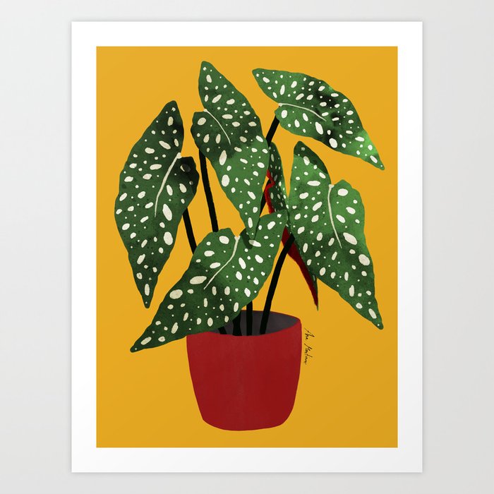 Prints Digital Prints Begonia Print etna.com.pe