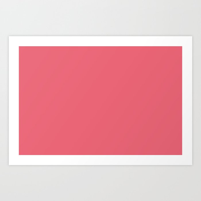 Watermelon Color And Coral