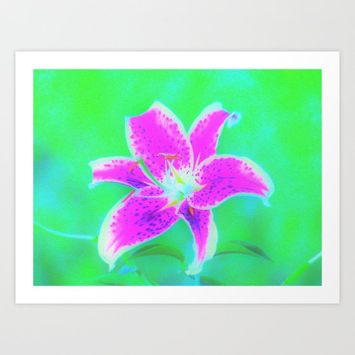 Green Stargazer Lily
