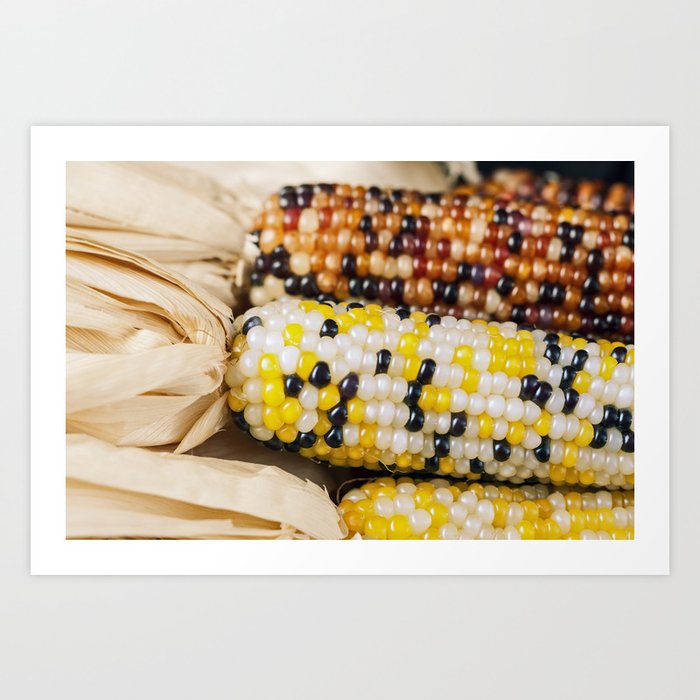Www Printable Picture Of Indian Corn