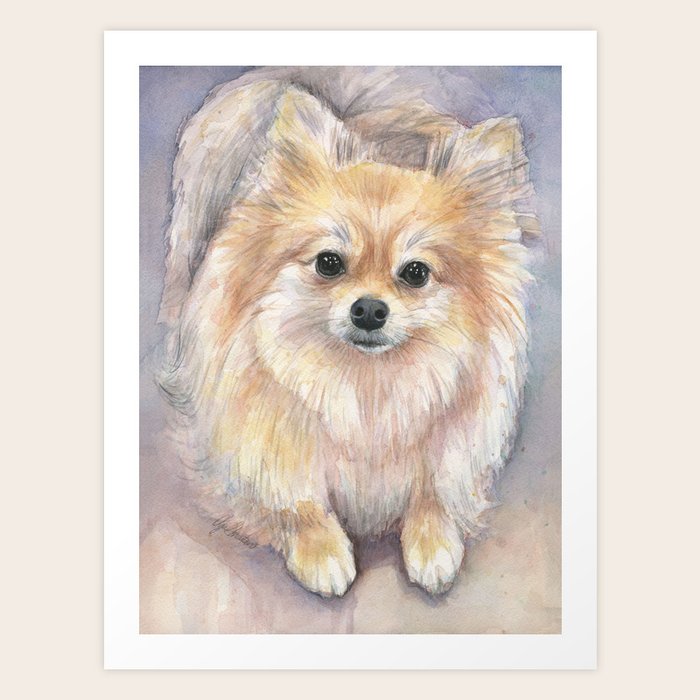 Pom X Spitz | ppgbbe.intranet.biologia.ufrj.br