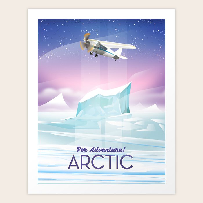 Art Of Flight Poster