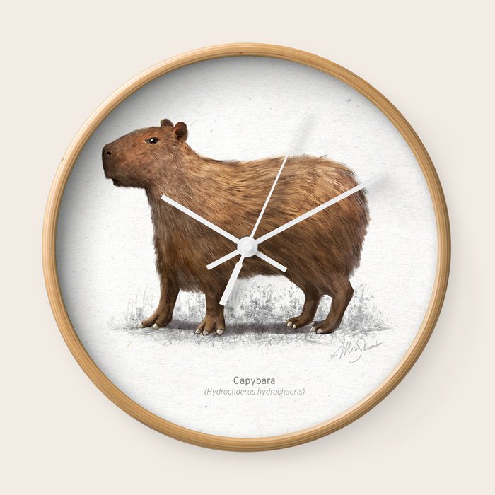 Capybara scientific illustration art print Wall Clock by Mesa Studios ...