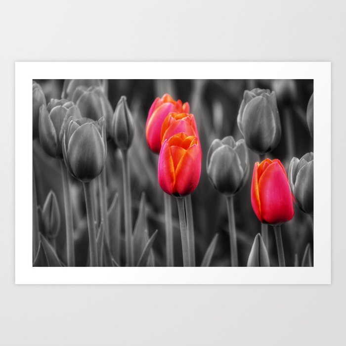 Black And White Color Splash Photography