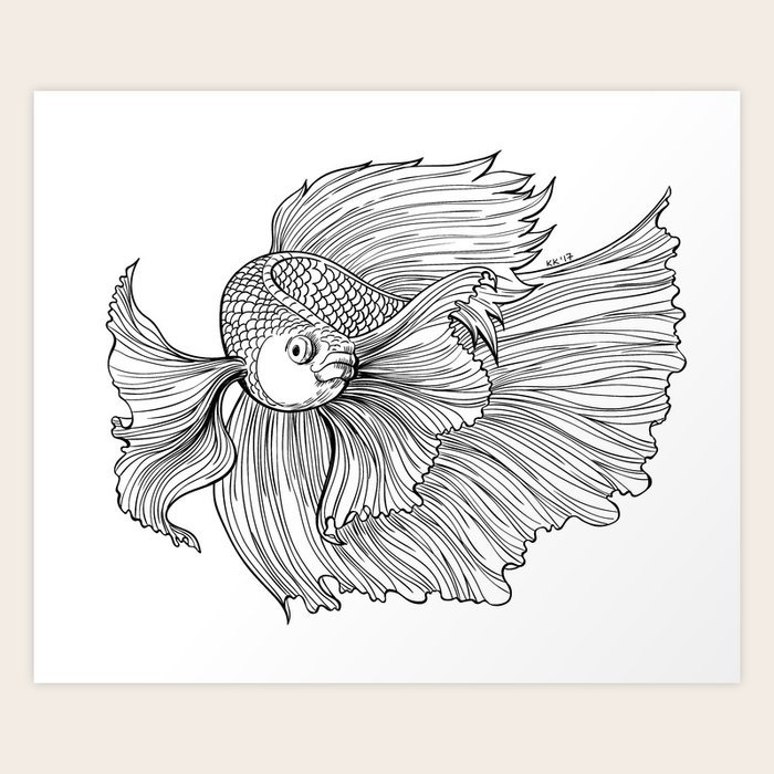 Fighting Fish Drawing