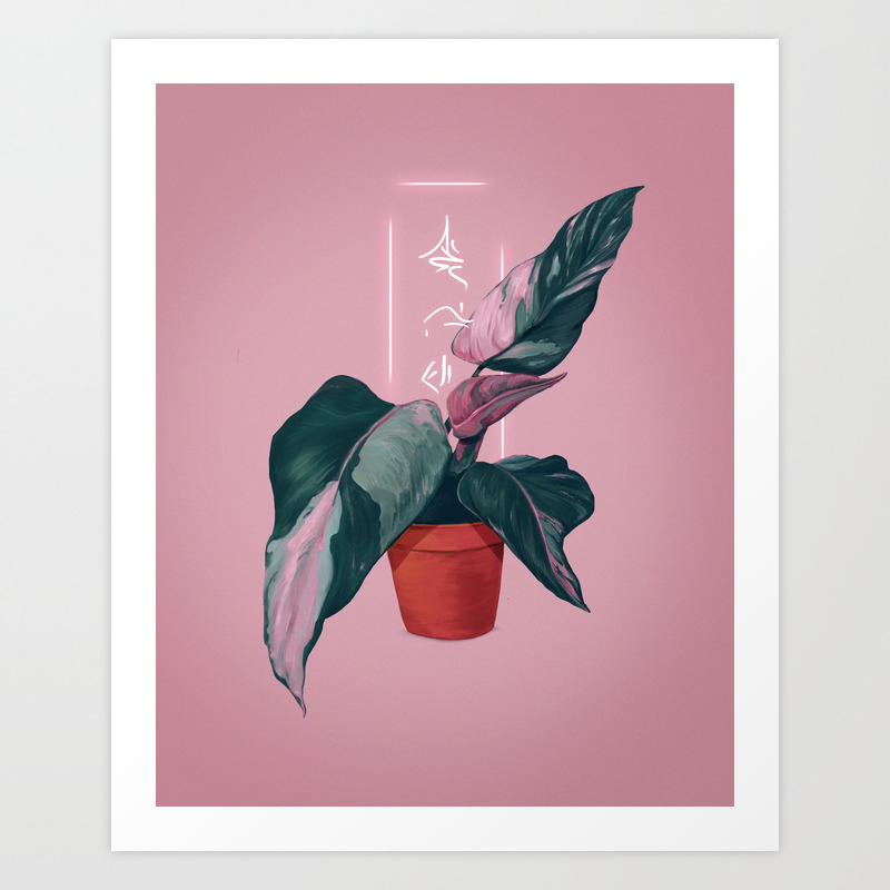 Pink Princess Philodendron Plant Magnets Philodendron Philo Pink Pink ...