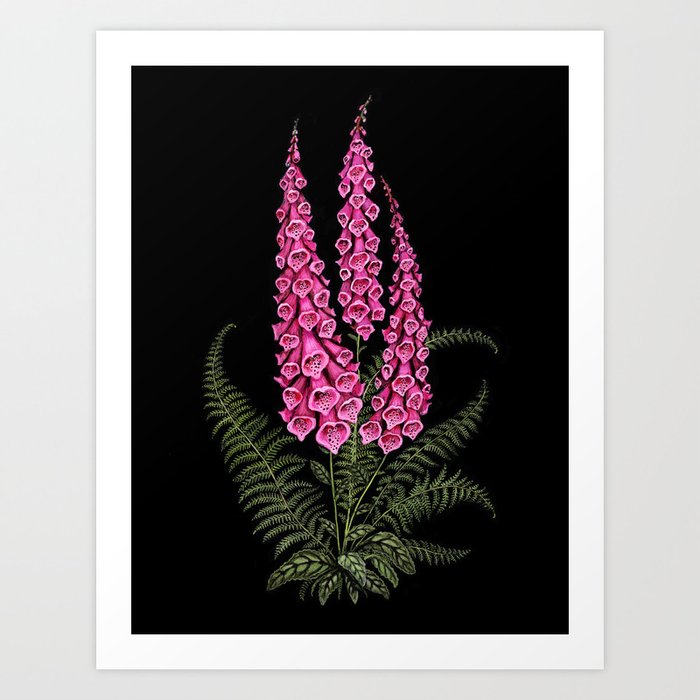 foxgloves artwork