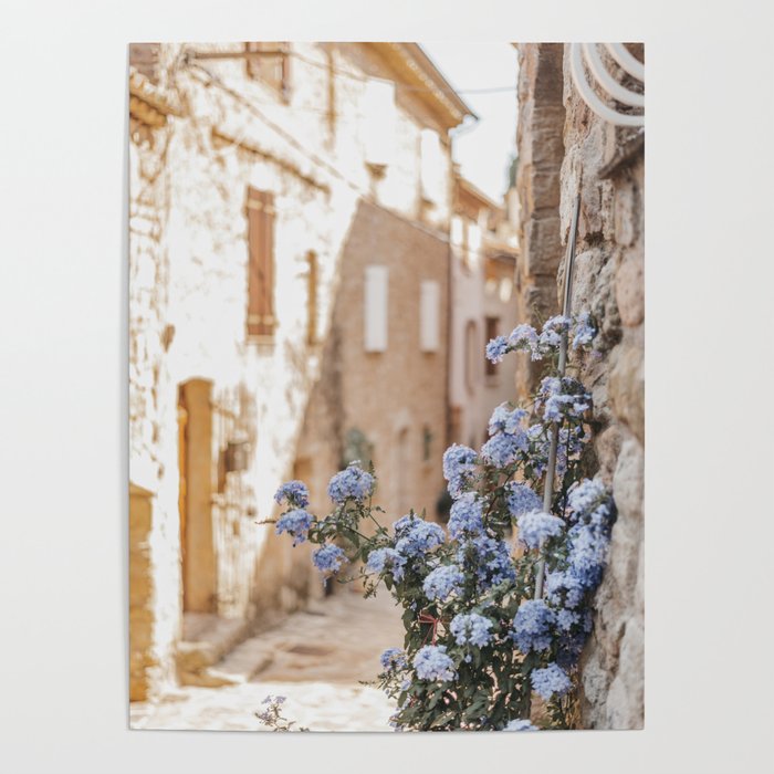 Beautiful Blue Flowers Of Provence | Southern France Street Photography ...