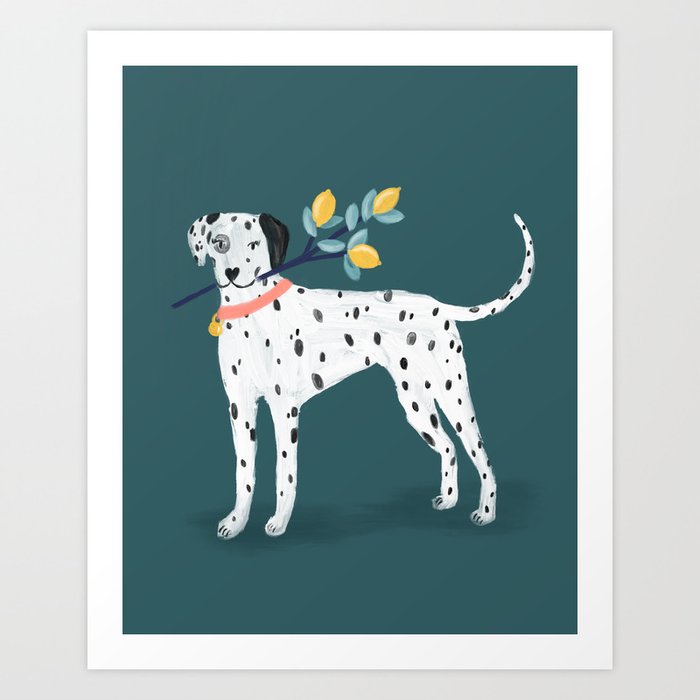 lemon dalmatian