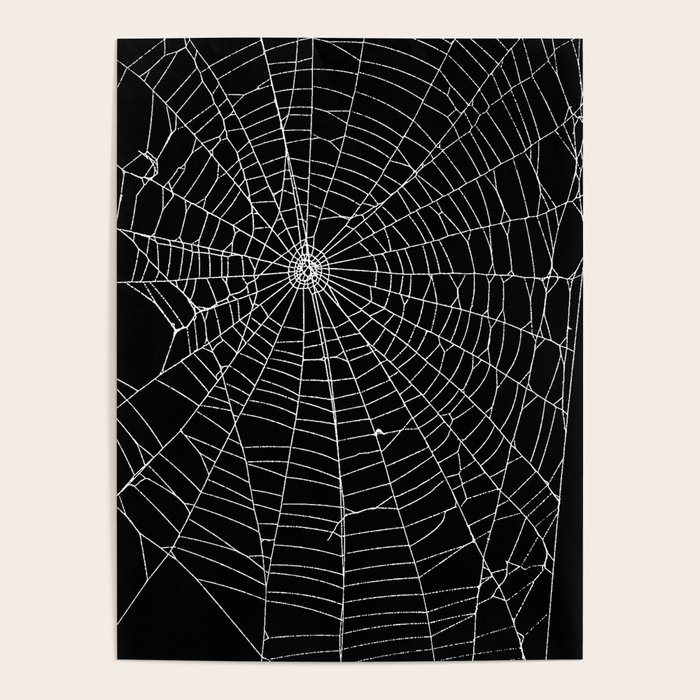 Spider Spider Web Poster by Zeljkica | Society6