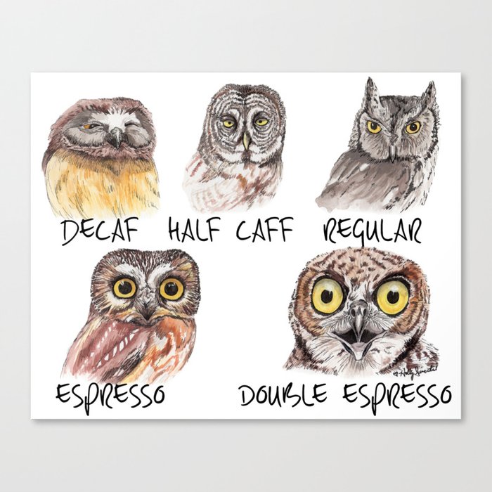 Owl Caffeine Meter - funny owl coffee Canvas Print by Holly Simental ...