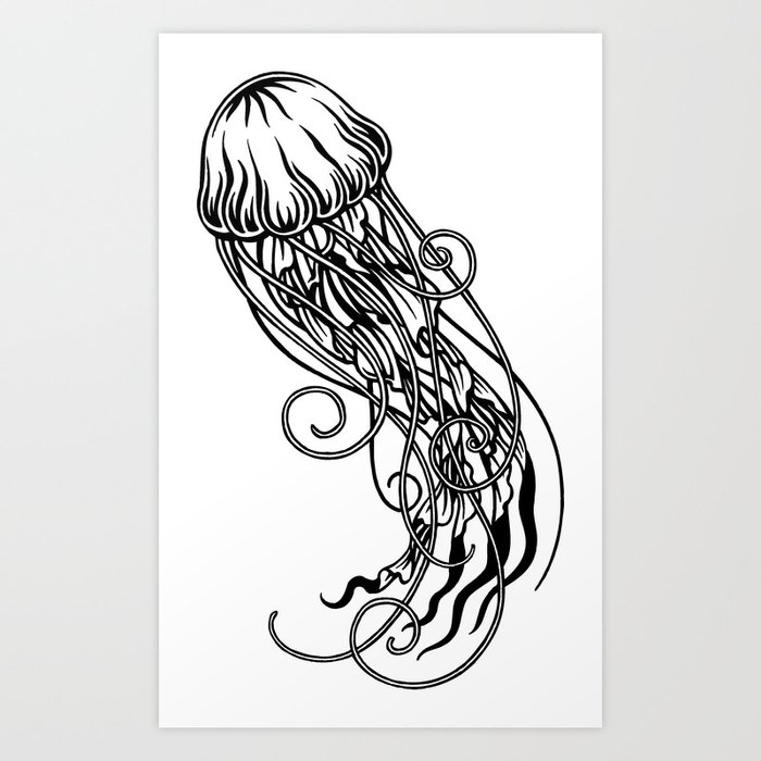 Beautiful Jellyfish Drawings