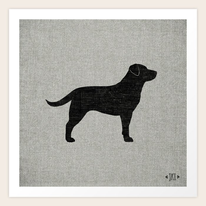 black lab windermere