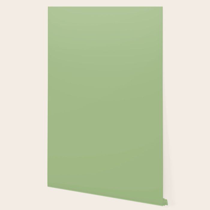 solid light green wallpaper