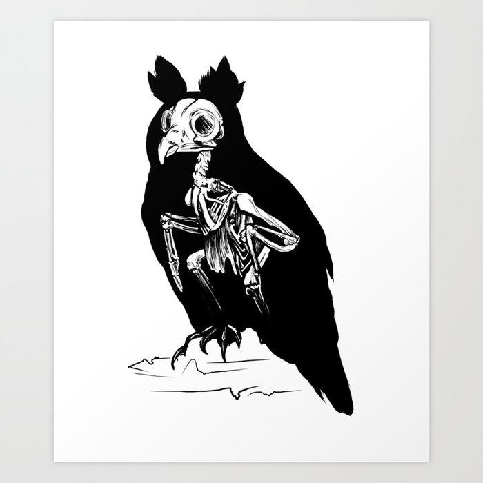 Owl Skeleton Illustration