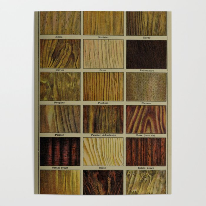 Wood Grain Chart Poster by Blue Specs Studio | Society6