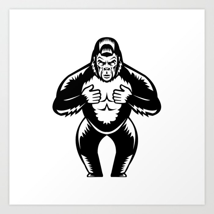 Silverback Gorilla Drawings