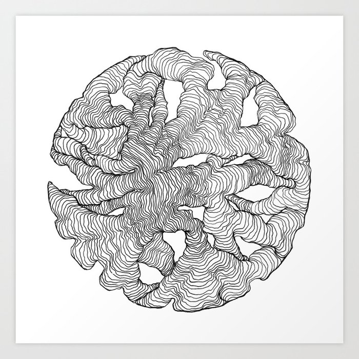 Organic Lines