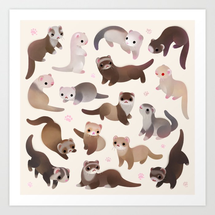 ferret artwork