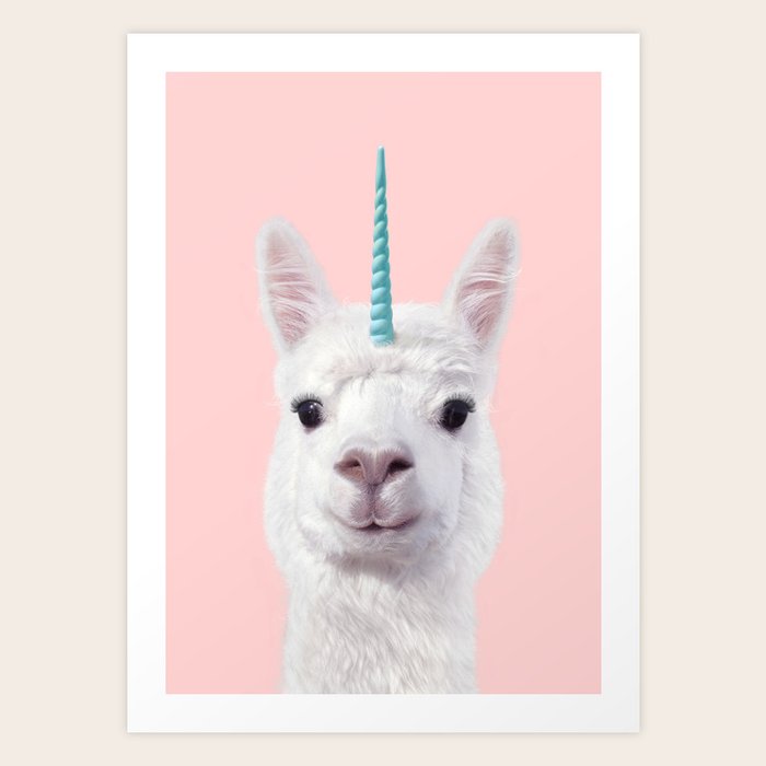 alpaca art