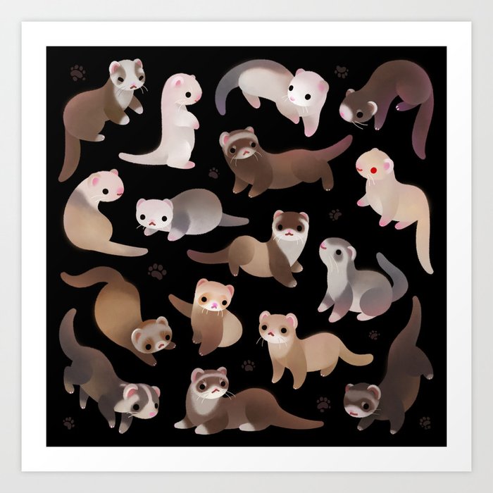 ferret artwork