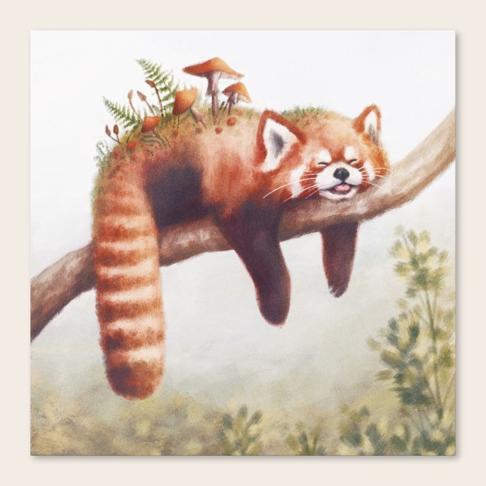 red panda print
