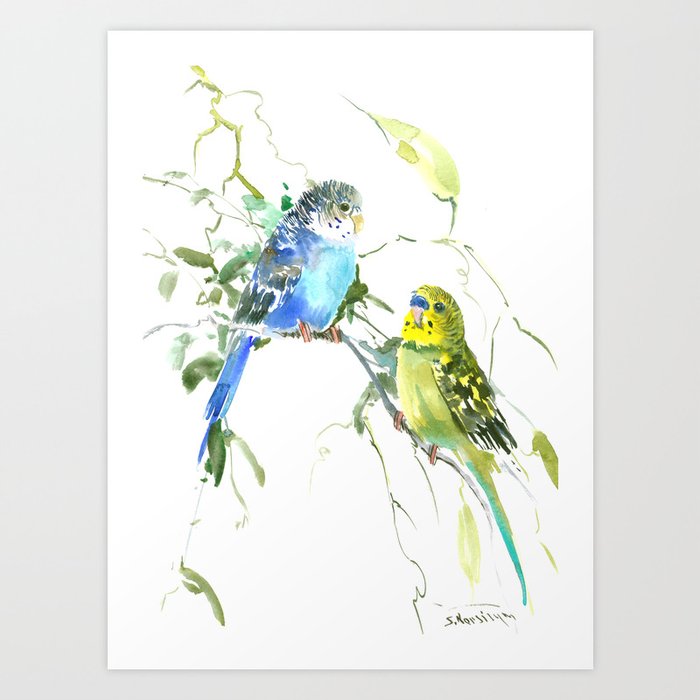 parakeet print